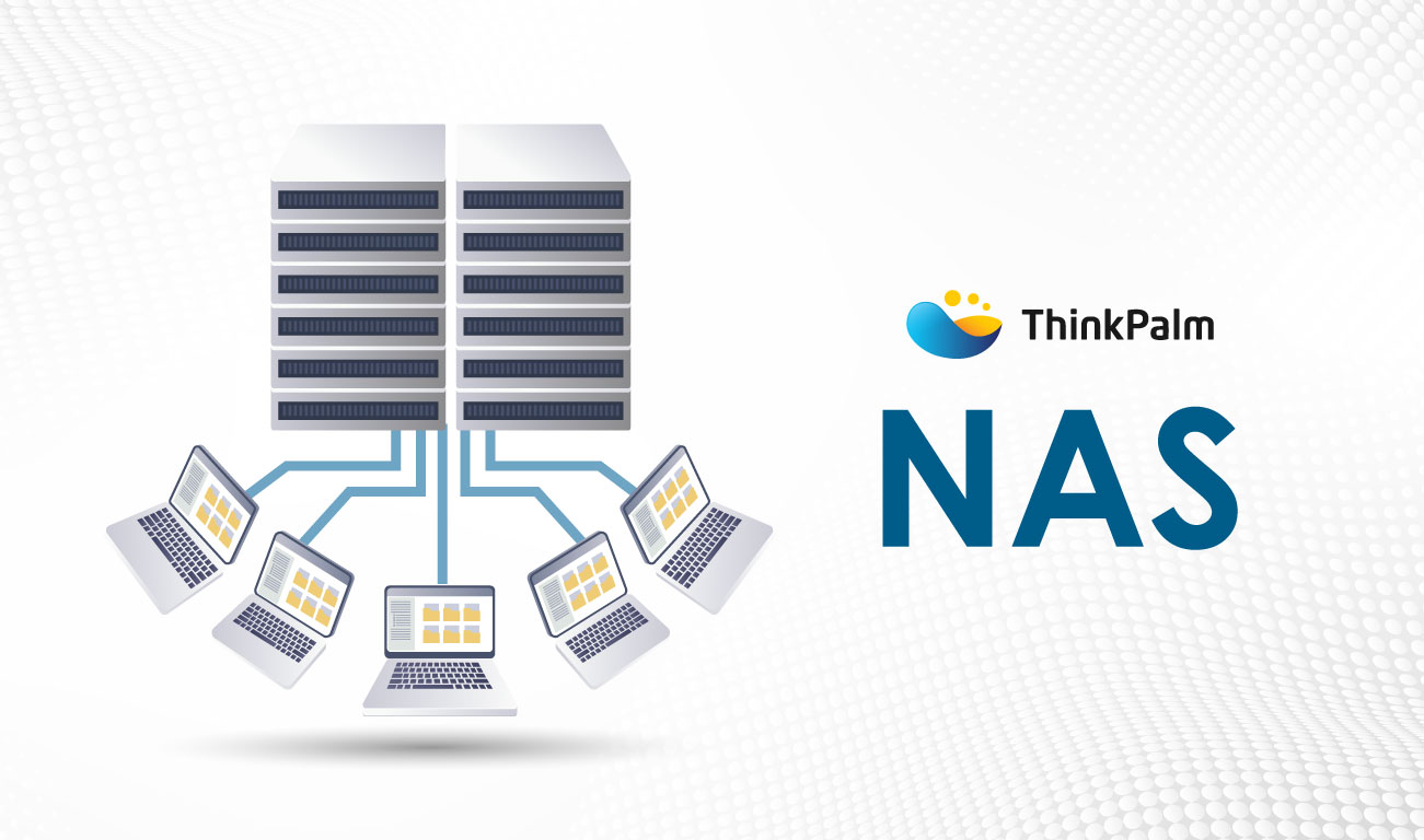 Building a Distributed NAS Architecture | ThinkPalm